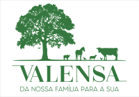 New logo concept - Valensa